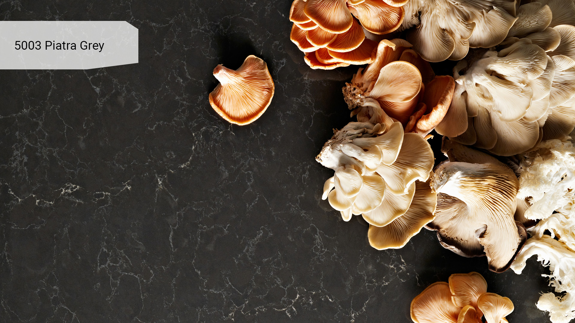 5003 Piatra Grey | ArchiType